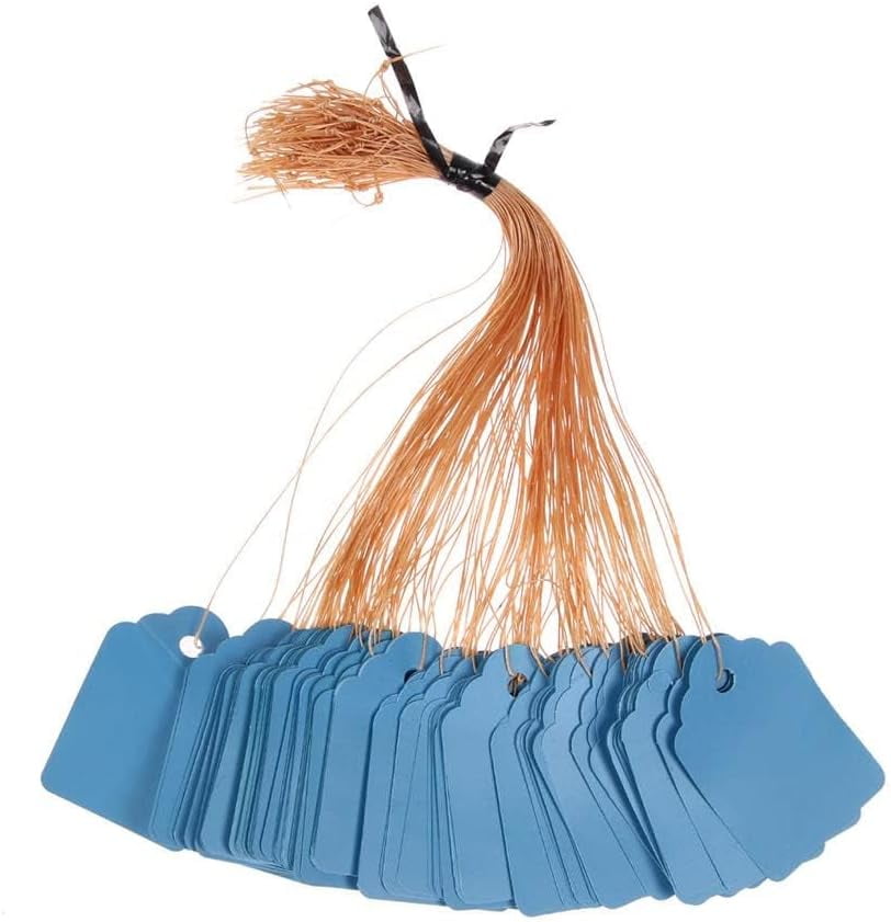 QIUYI 600 Pieces Blank Jewelry Price Tag with Hanging String, Writable ...