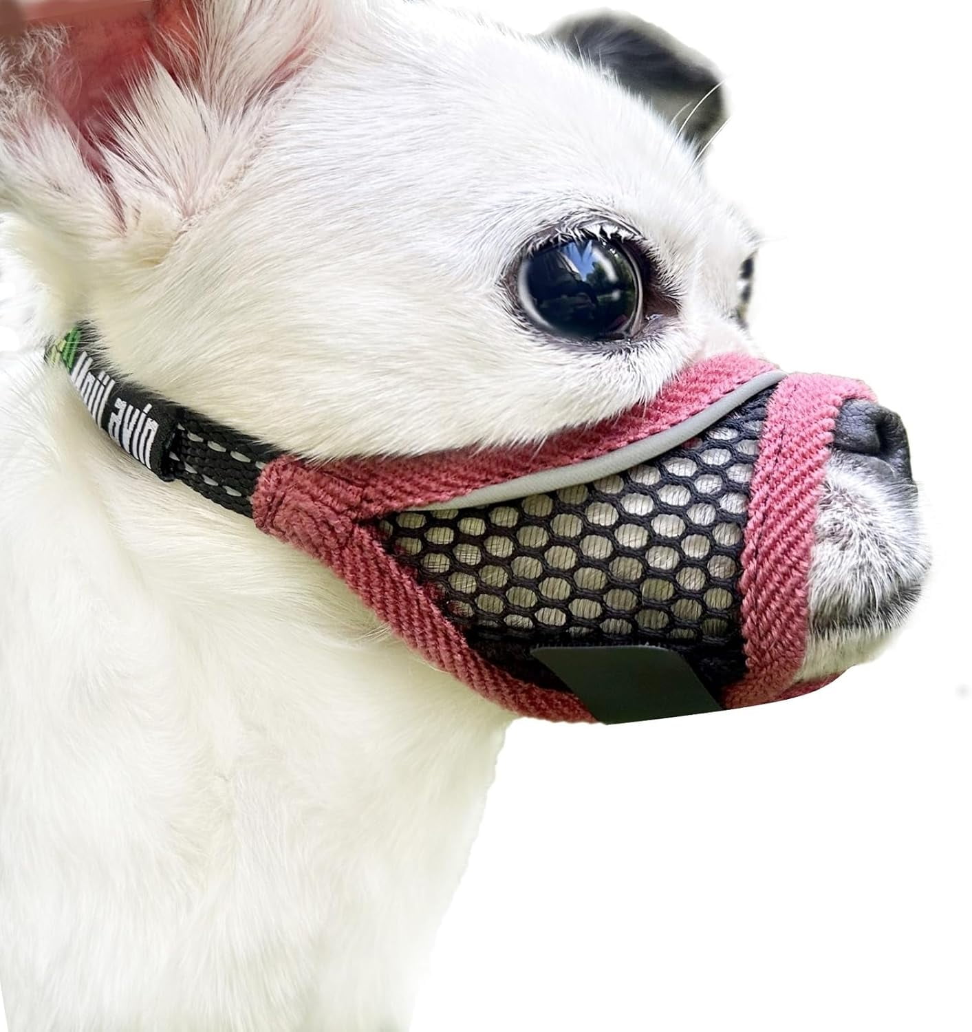 QIUYIDP Dog Muzzle, Soft Mesh Muzzles for Small Dogs, Chihuahua Shih ...