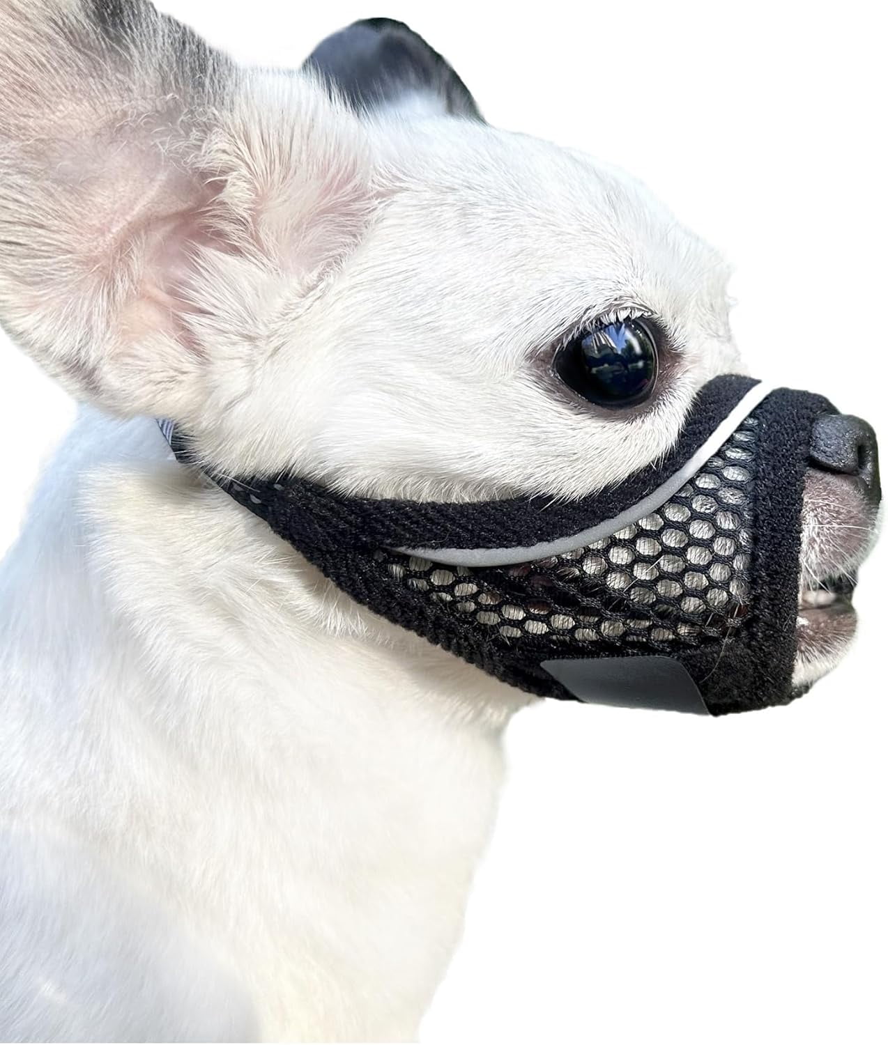 QIUYIDP Dog Muzzle, Soft Mesh Muzzles for Small Dogs, Chihuahua Shih ...