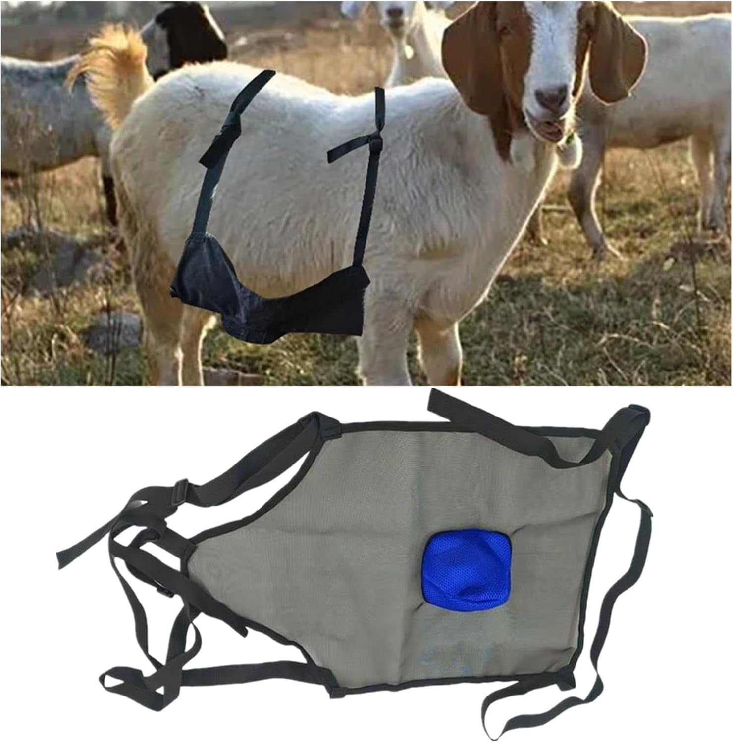 QIUYIDP Goat Anti Breeding Apron, Anti Mating Skirt for Sheep & Goats ...