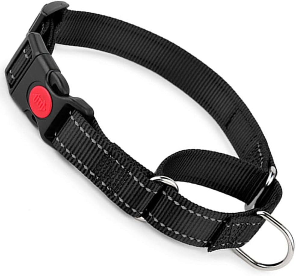 QIUYIDP Martingale Collar for Dogs with Buckle, Reflective Dog Choke ...