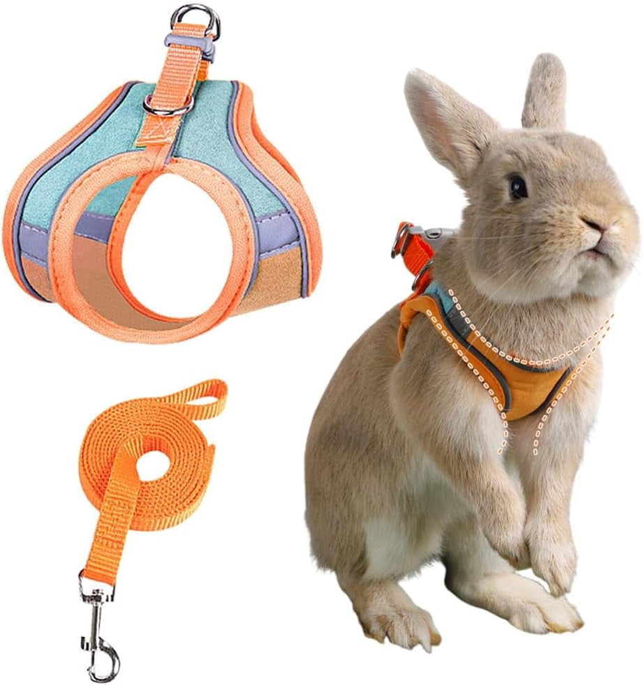 QIUYIDP Rabbit Harness Leash Set Double Buckle with Reflective Strips ...