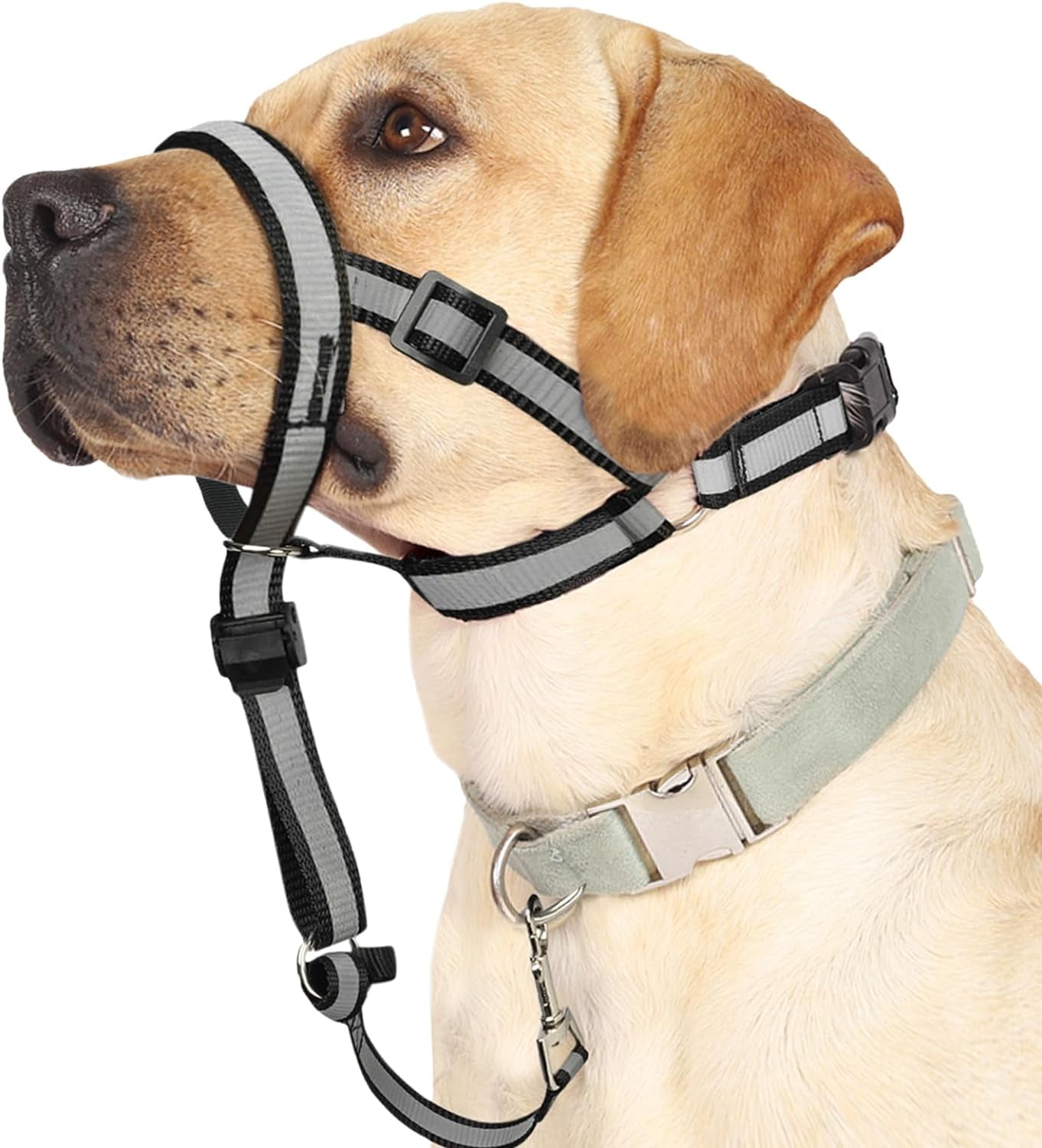 QIUYIDP Reflective Head Collar, No Pull Collar for Large Dogs, Anti ...