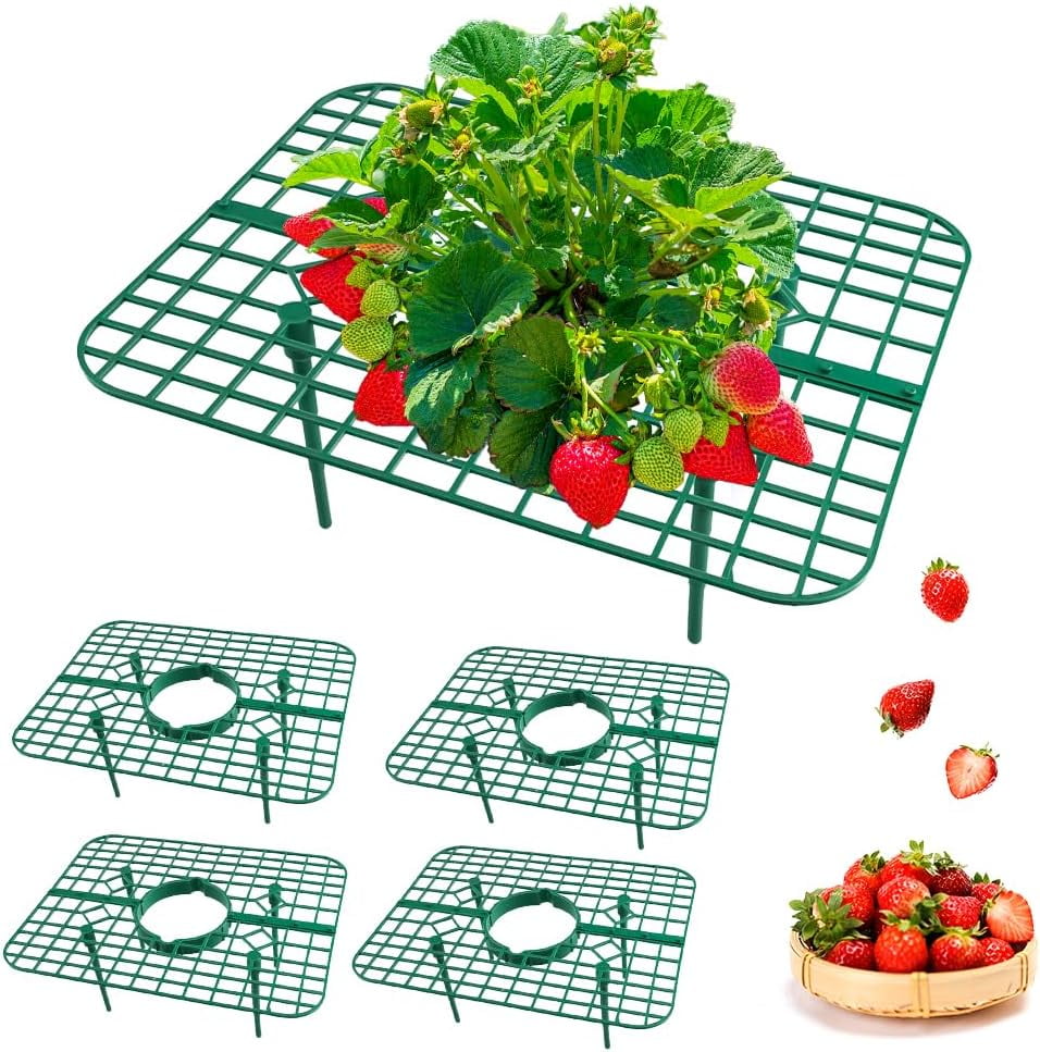 QIUYIDP Strawberry Plant Support Strawberry Rack Plant Stand Strawberry ...