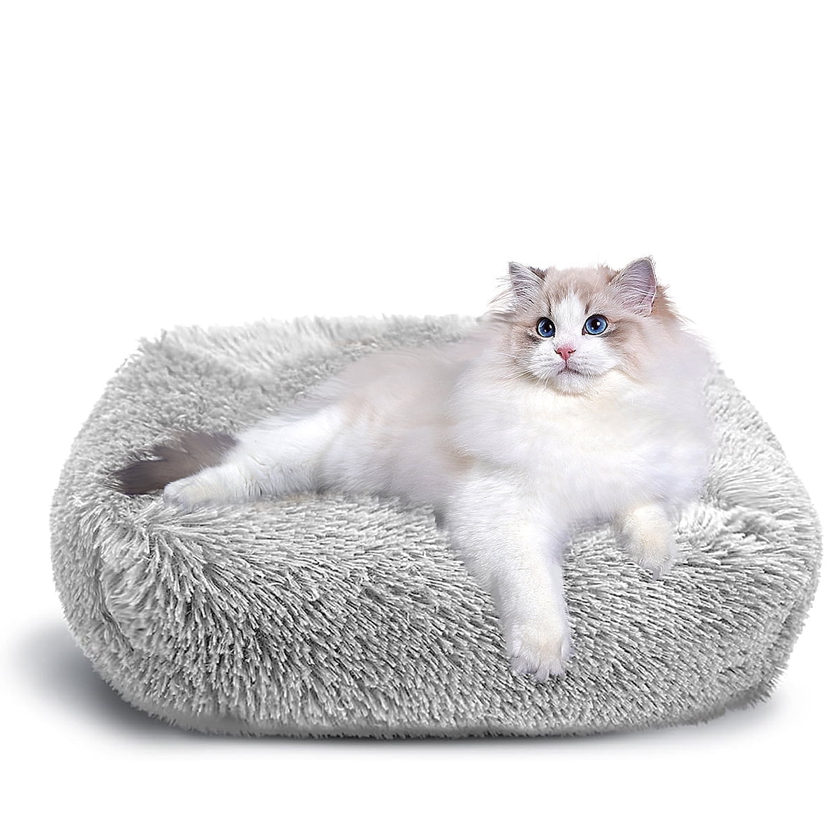 QKURT Cat Bed for Indoor Cats, Small Dog Beds for Small Dogs, Soft Long ...