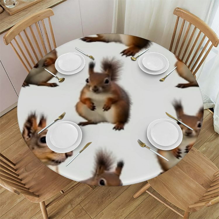 QKZF Cute Squirrels Print Round Tablecloth Waterproof Wipeable Table ...