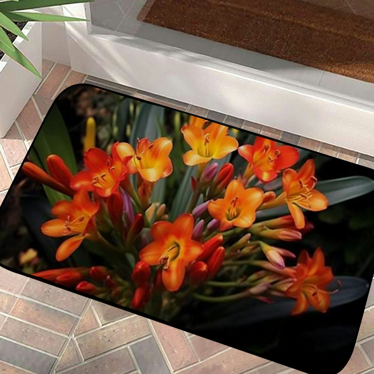 QKZF Decorative Door Mat, Door Mat with Non-Slip Rubber Backing, Easy ...