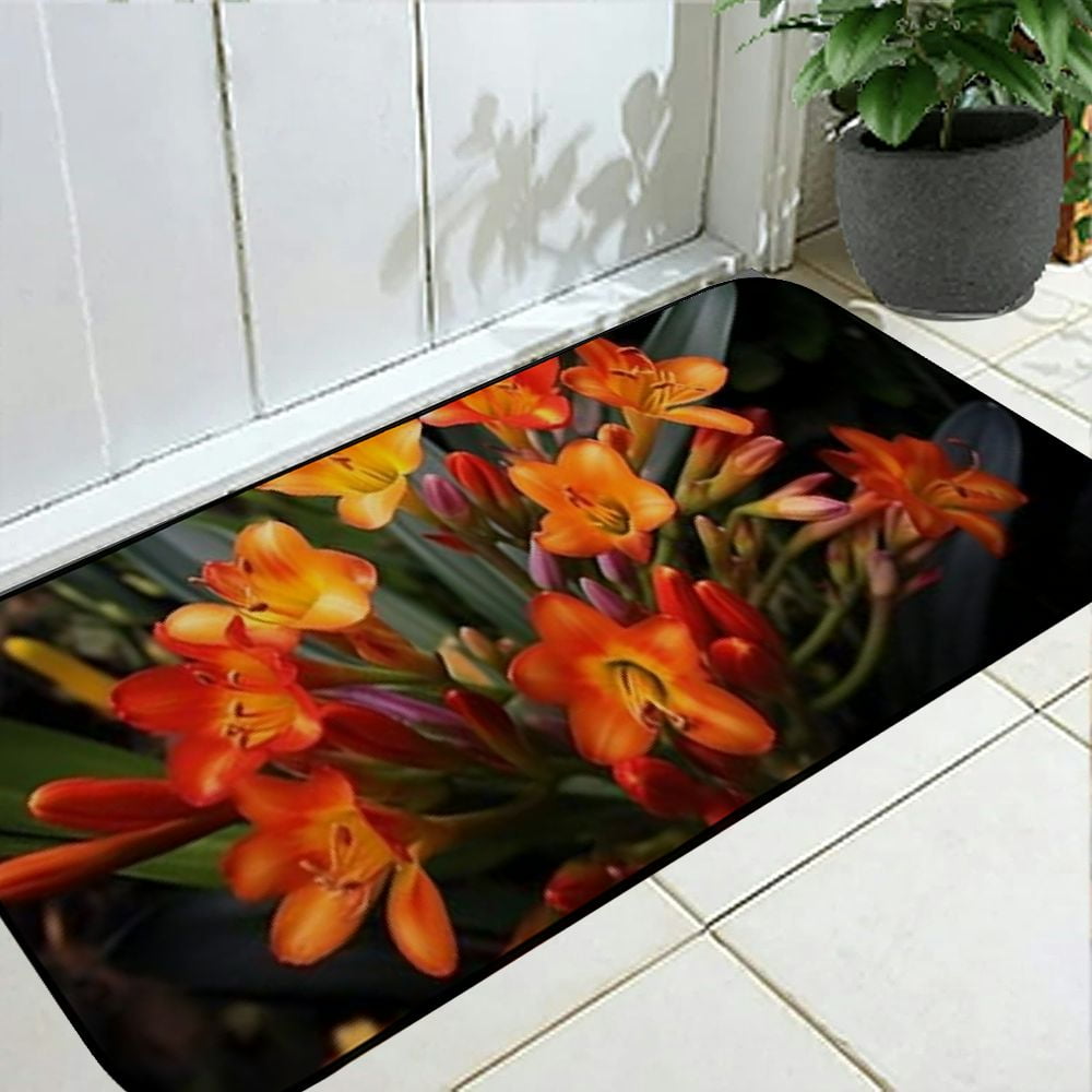 QKZF Decorative Door Mat, Door Mat with Non-Slip Rubber Backing, Easy ...