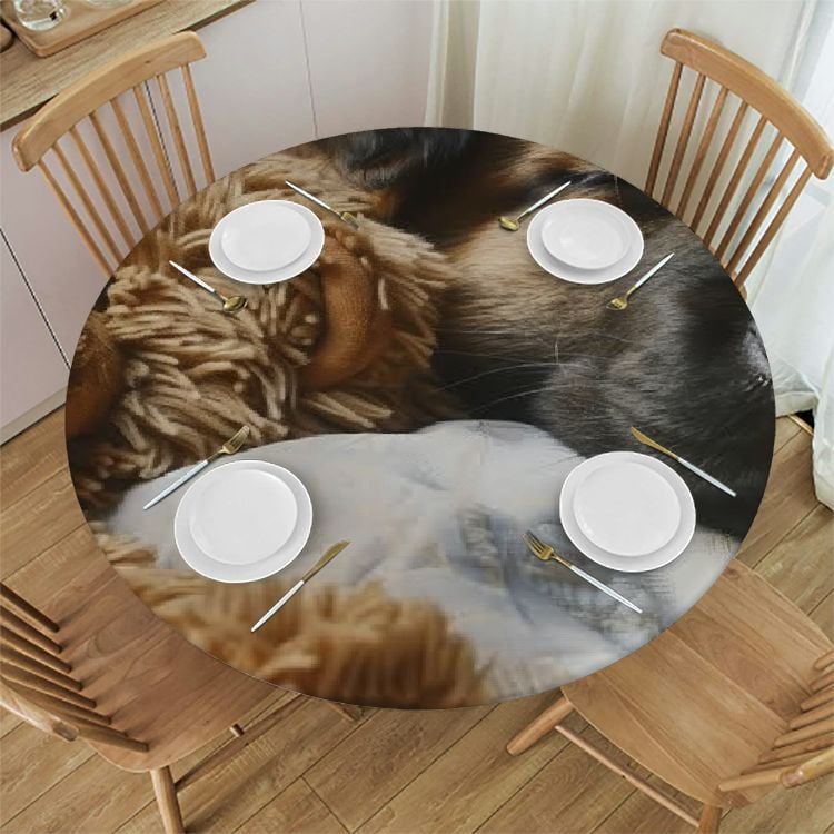 QKZF Round Table Cloth Waterproof Elastic Tablecloth for Tables Oil ...