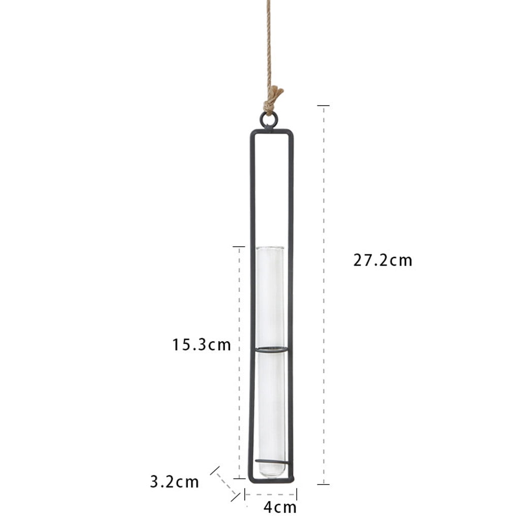 QLFSCXG Clear Glass Test Tube Flower Vases Wall Hanging Air Plant ...
