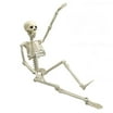 5 Foot Posable Skeleton - Large Outdoor Yard Decoration - Home Decor ...