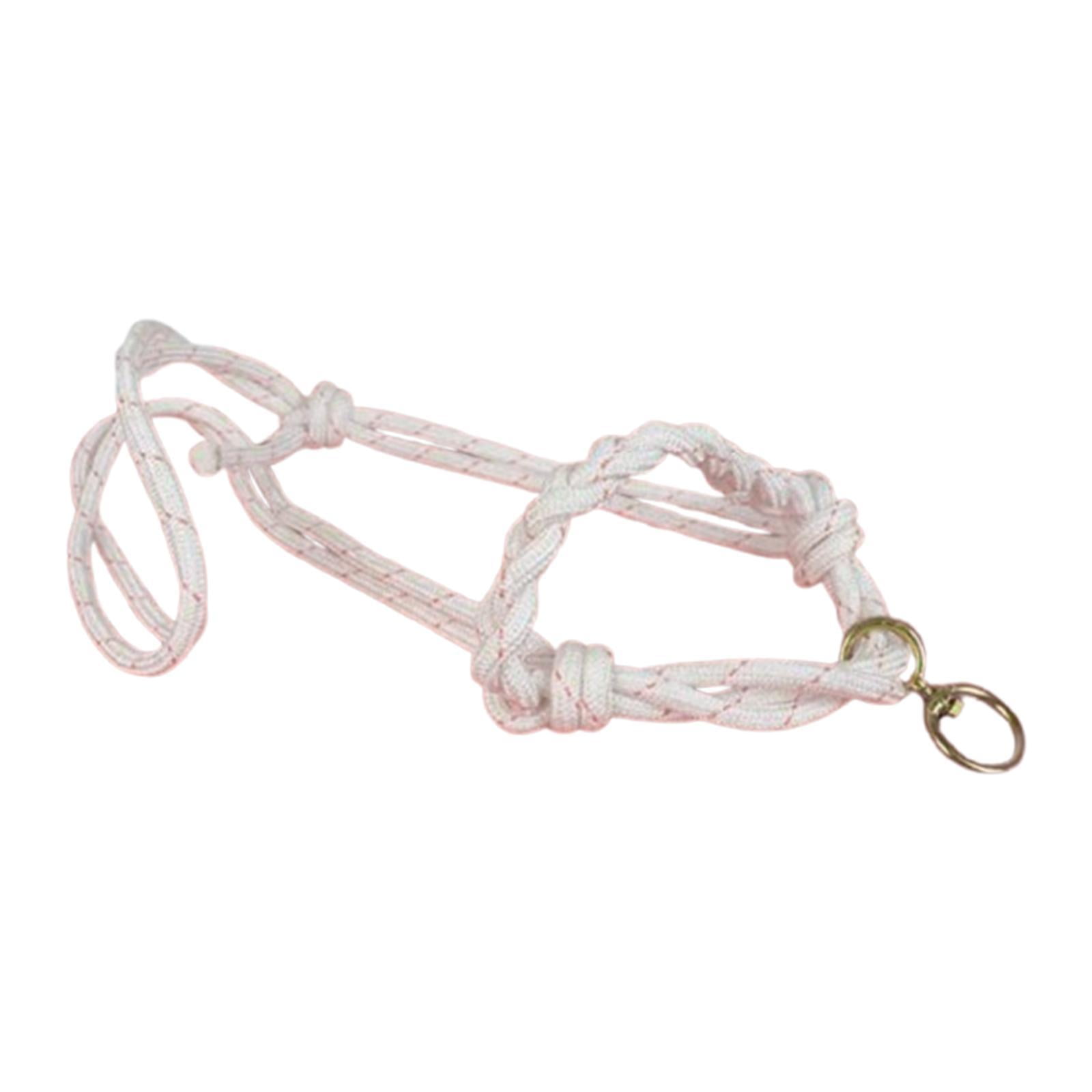 QLoztyse Bull Bridle Cow Halter Outdoor Strong Cow Equipment Cattle ...