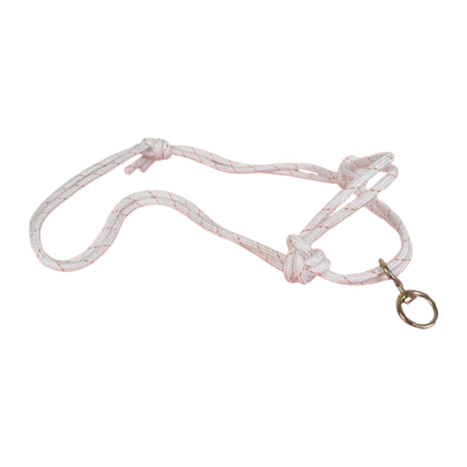 QLoztyse Bull Bridle Cow Halter Outdoor Strong Cow Equipment Cattle ...