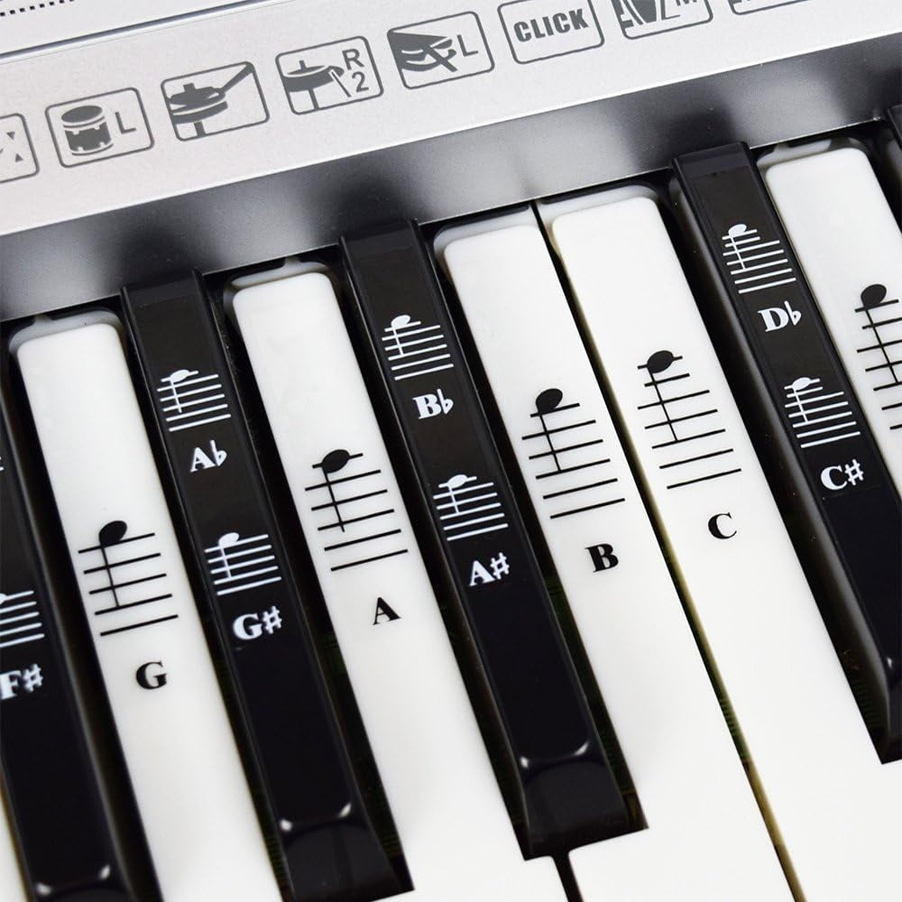 QMG Removable Piano Key Stickers for White and Black Keys, Vinyl, Fits ...