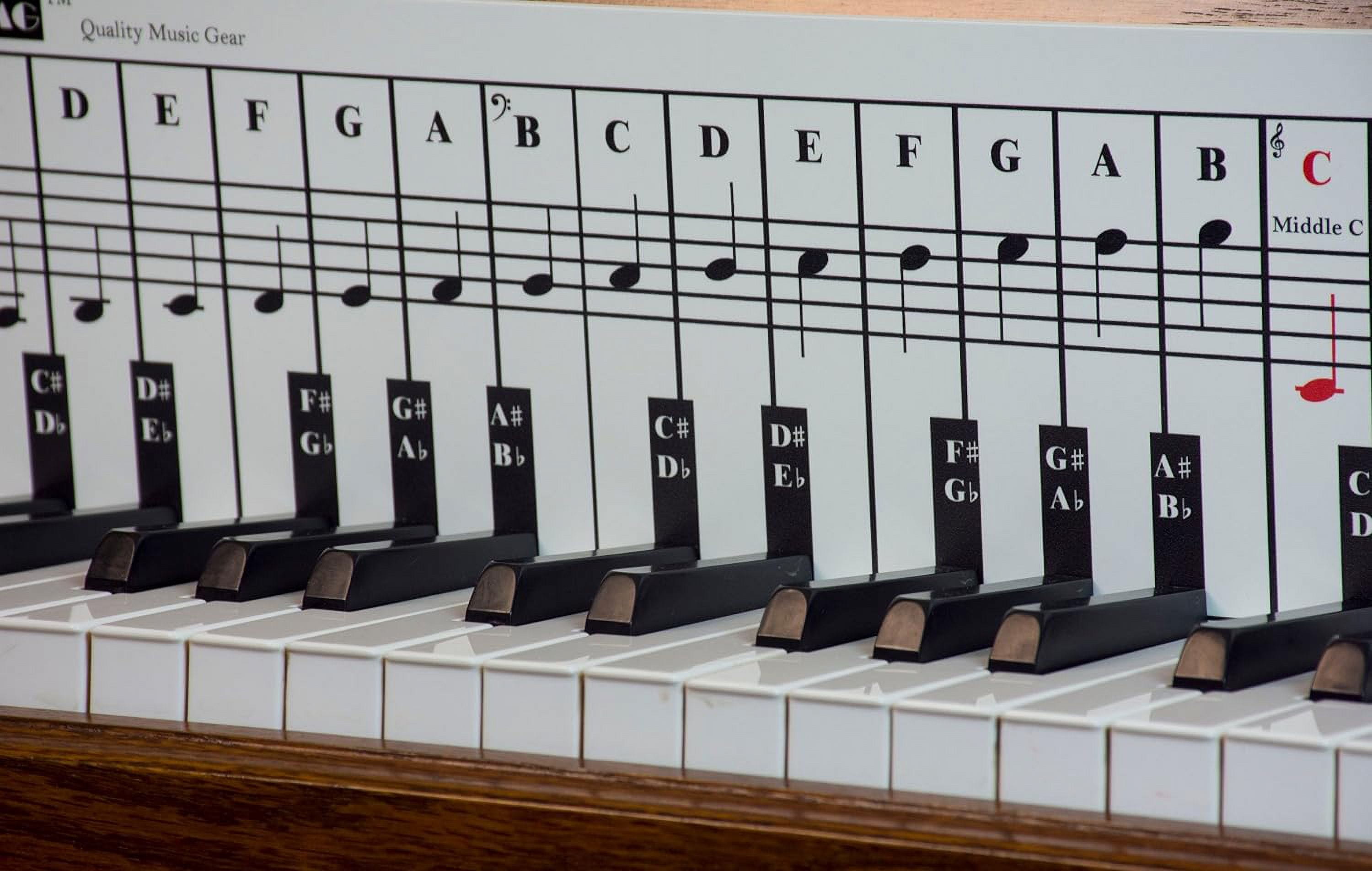 QMG Piano Note Chart, High-Quality Foam PVC, Covers 4 Octaves, Easy ...