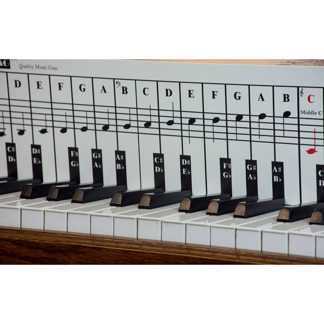 QMG Piano Note Chart, High-Quality Foam PVC, Covers 4 Octaves, Easy ...