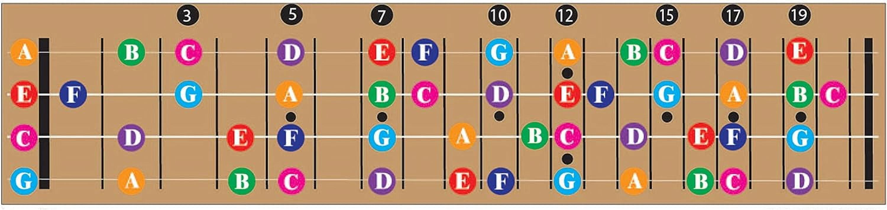 QMG Ukulele Fretboard Chart - Color Coded, All Levels, Made in USA ...