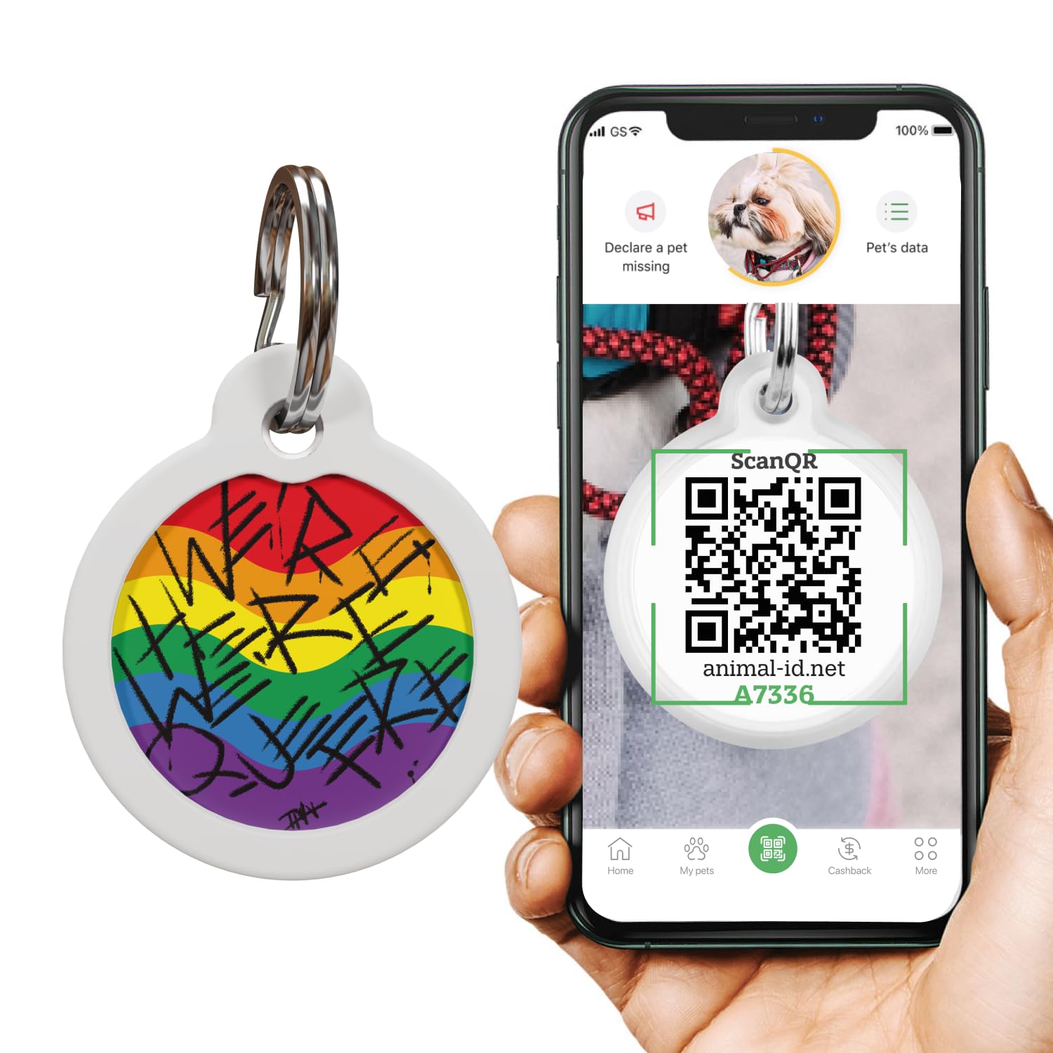 QR Code Dog Tag, DHF10 Pet ID Tags for Dogs - Silent Dog Tags Personalized for Pets - QR Tag to ...