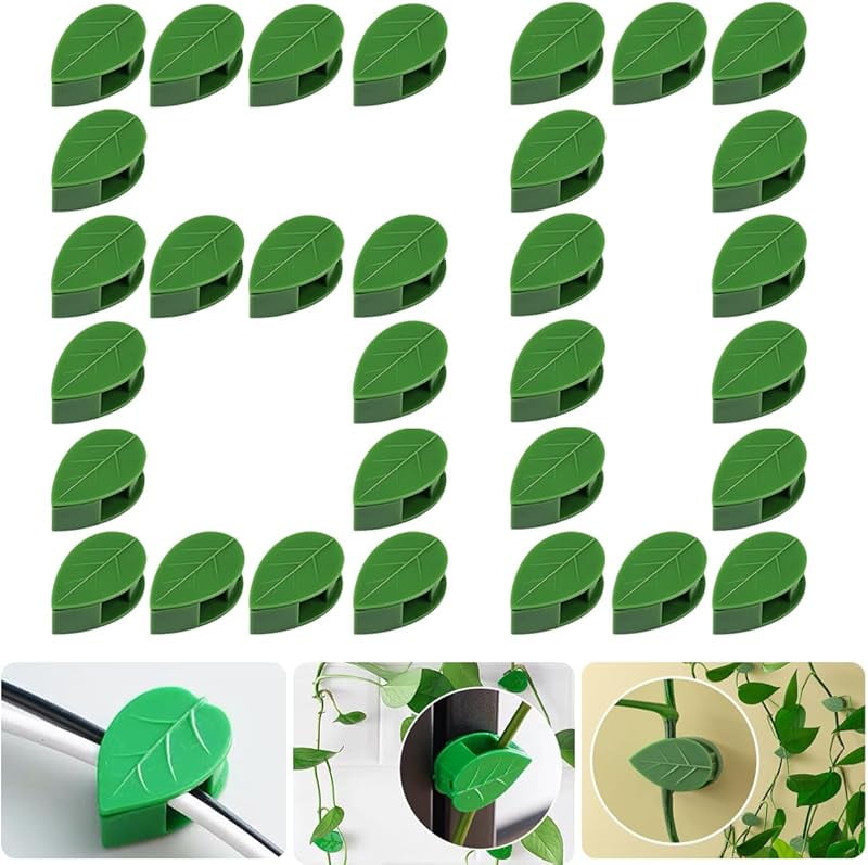 QRWT 30 Pieces Plant Climbing Wall Fixture Clips Self-Adhesive Plant ...