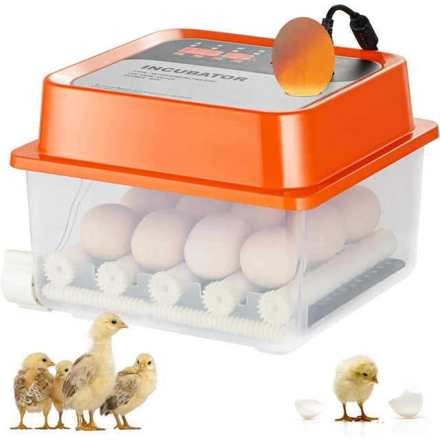 QRZJ 12 Egg Incubator, Incubators for Hatching Eggs, 360° Automatic Egg Turner with Temperature ...