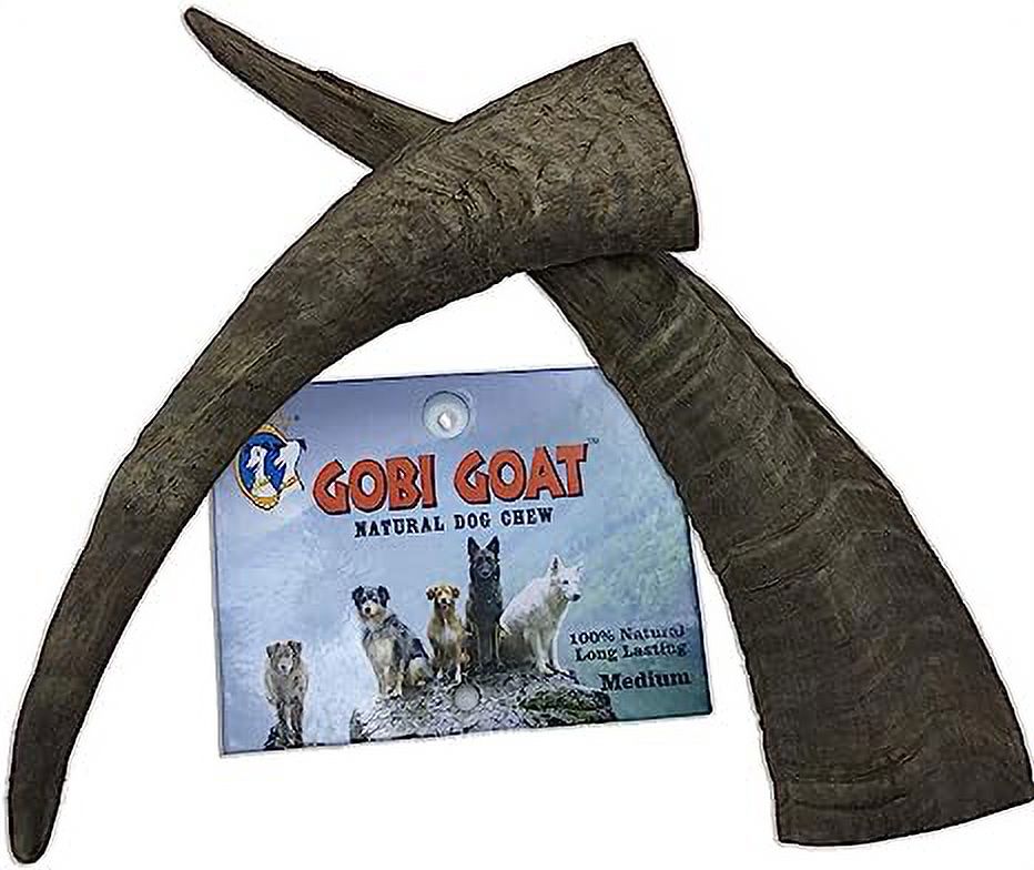 QT Dog Gobi Goat Horn Medium - 2 Pack - Walmart.com