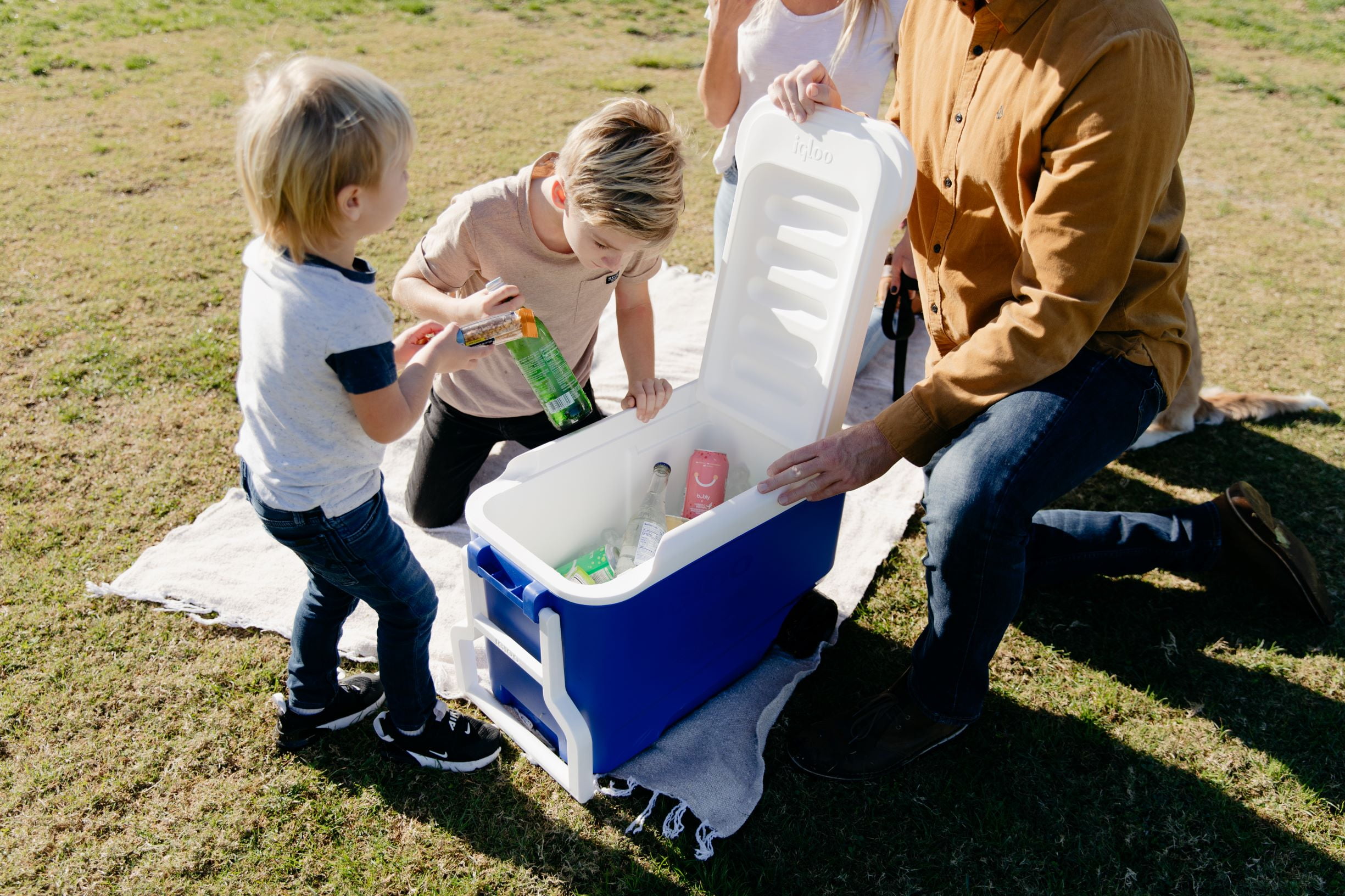 QT Wheelie Cool Hard Sided Cooler with Wheels, Blue 38 QT Wheelie Cool ...