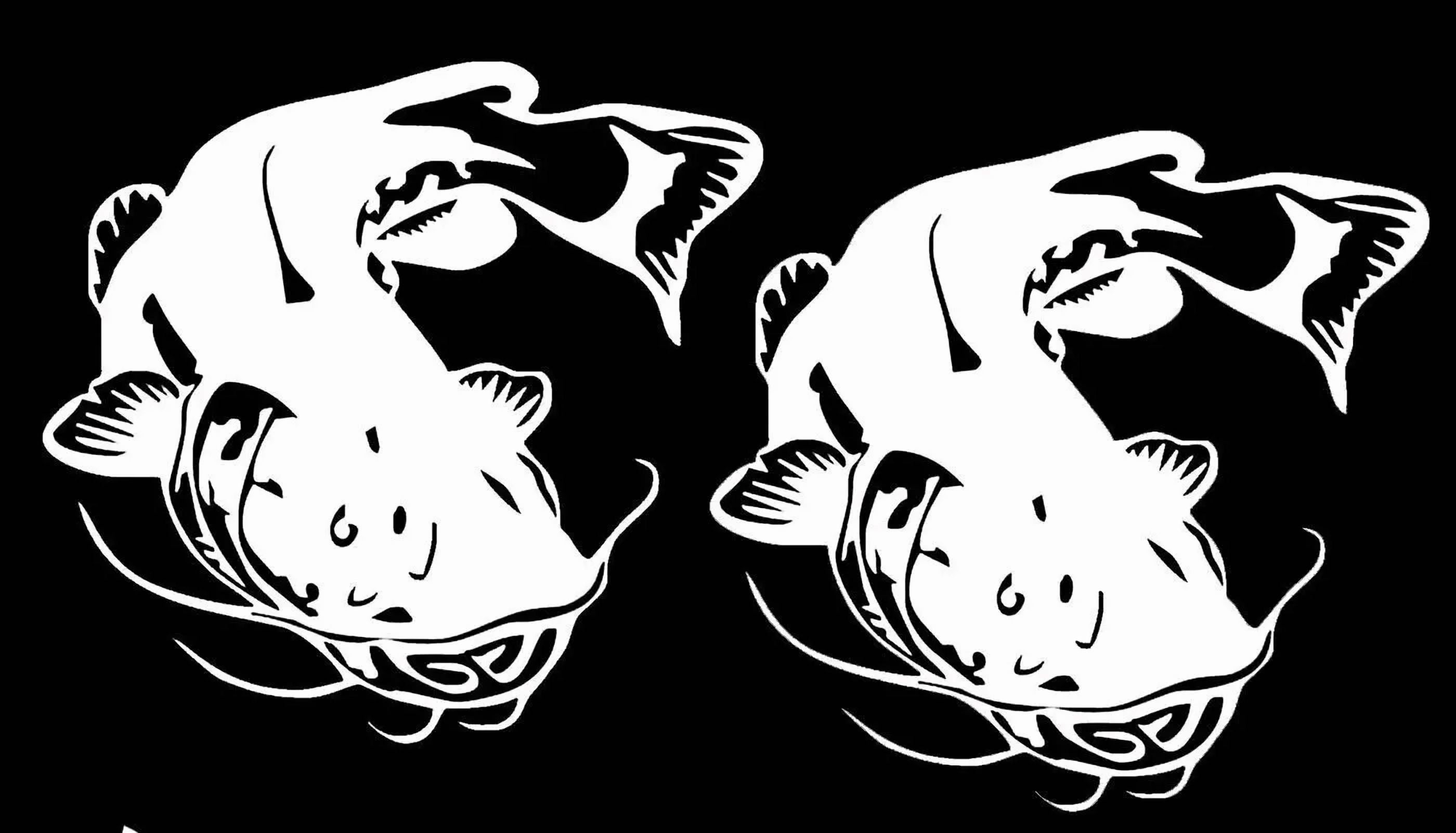 QUEST- Catfish Fishing Pack White Vinyl Decal Car Truck Windows Laptop ...
