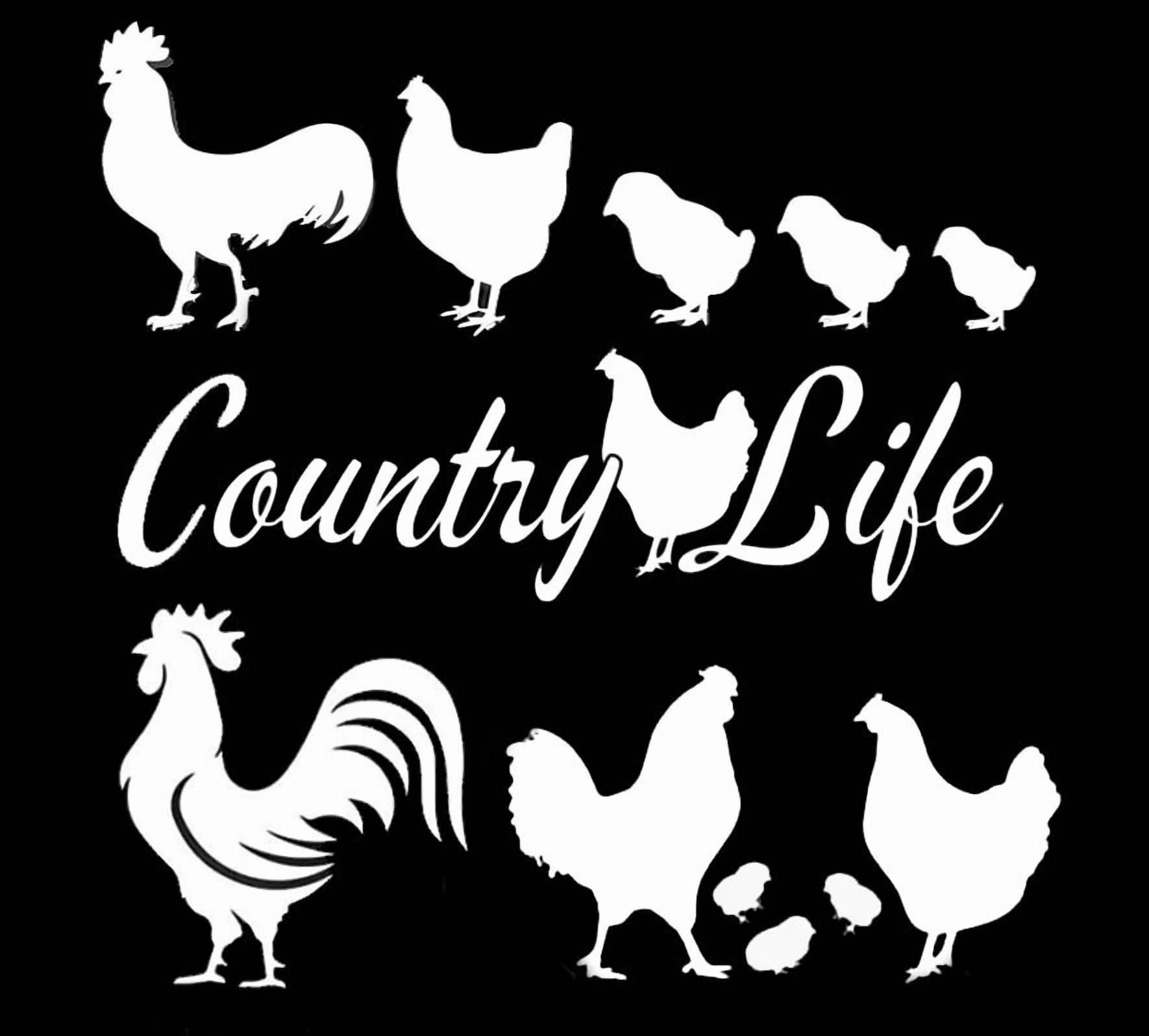 QUEST- Country Life Rooster Chickens 3 Pack 6" White Vinyl Decals Car ...