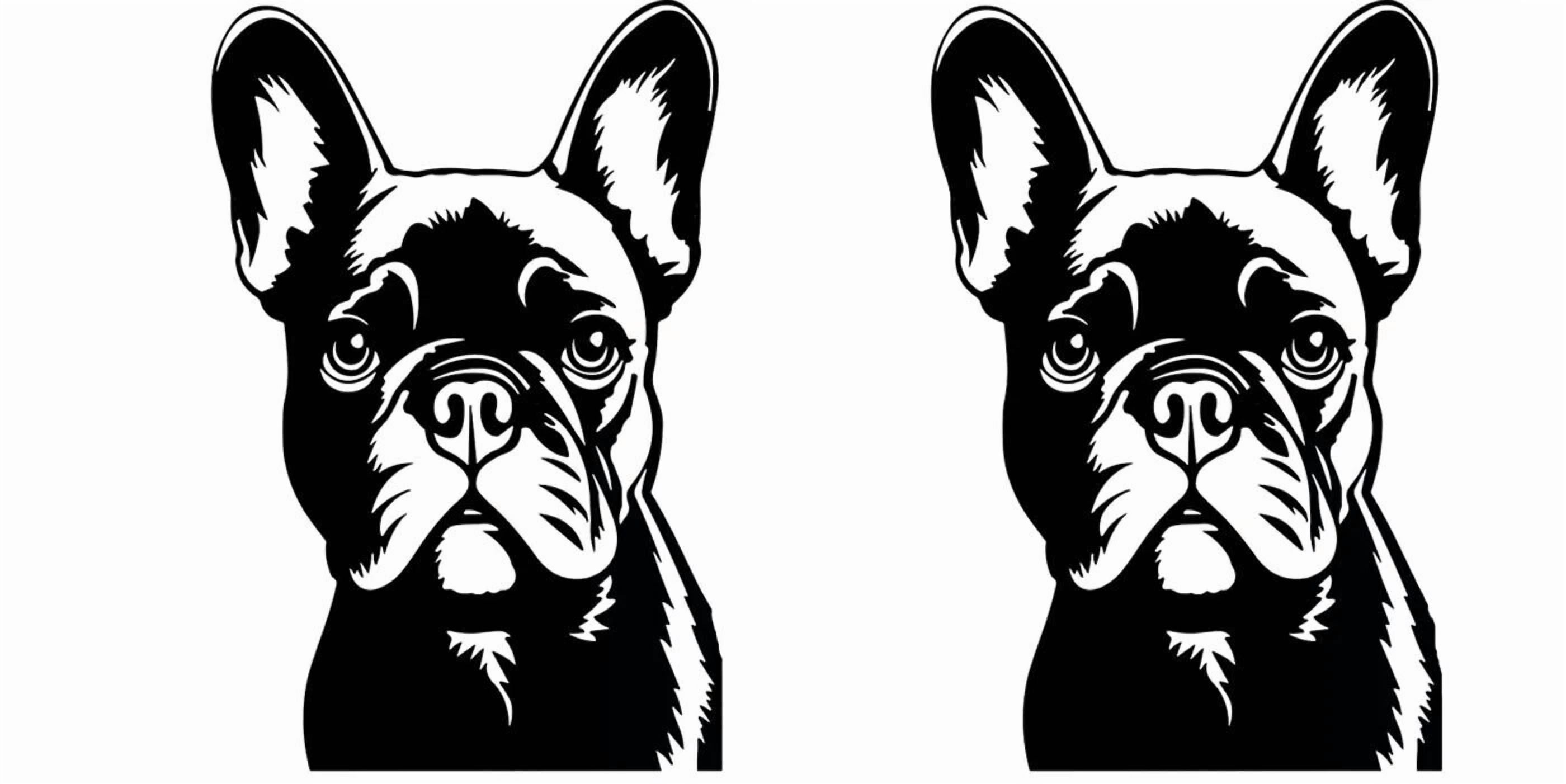 QUEST- French Bulldog Stare Frenchie Pack Black Vinyl Decals Car ...