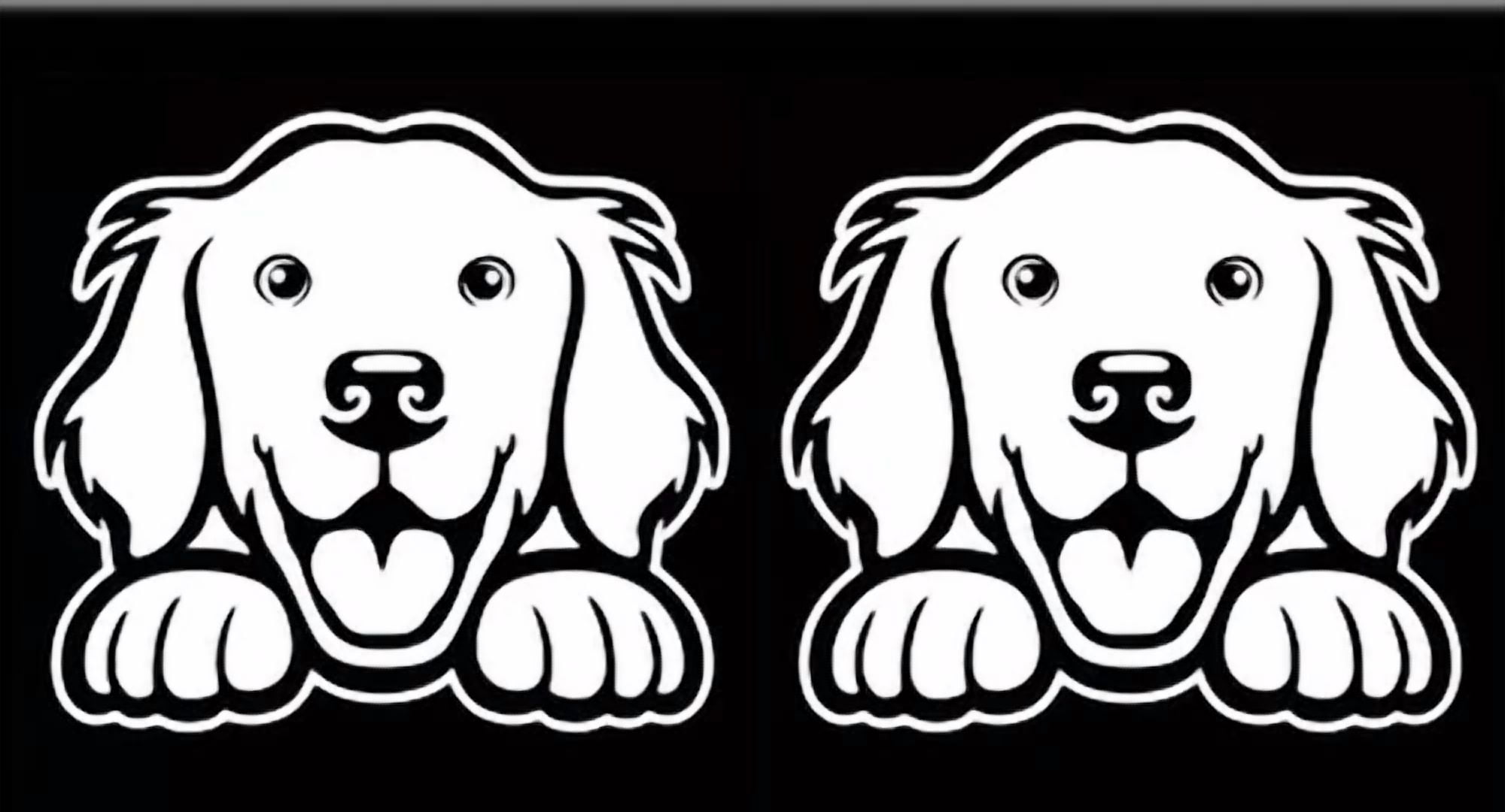 QUEST- Golden Retriever Peeking Two White Vinyl Decals Car Truck ...