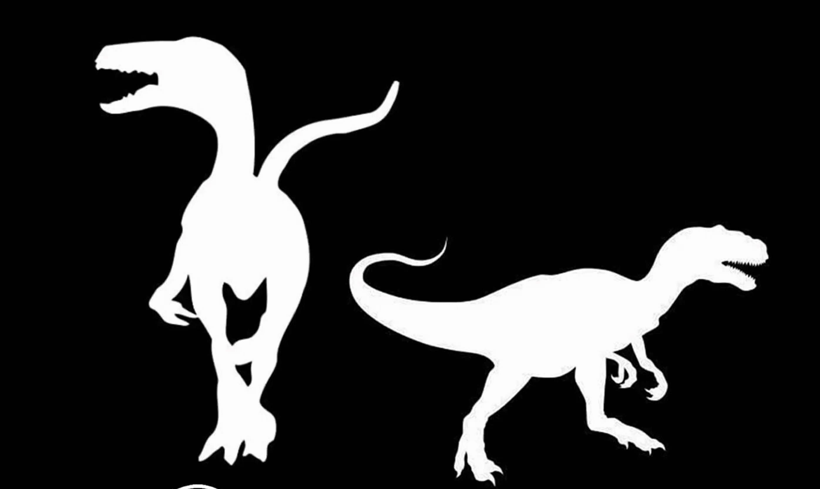QUEST- Raptor Dinosaur Velociraptor Two 5" White Vinyl Decals Car Truck ...