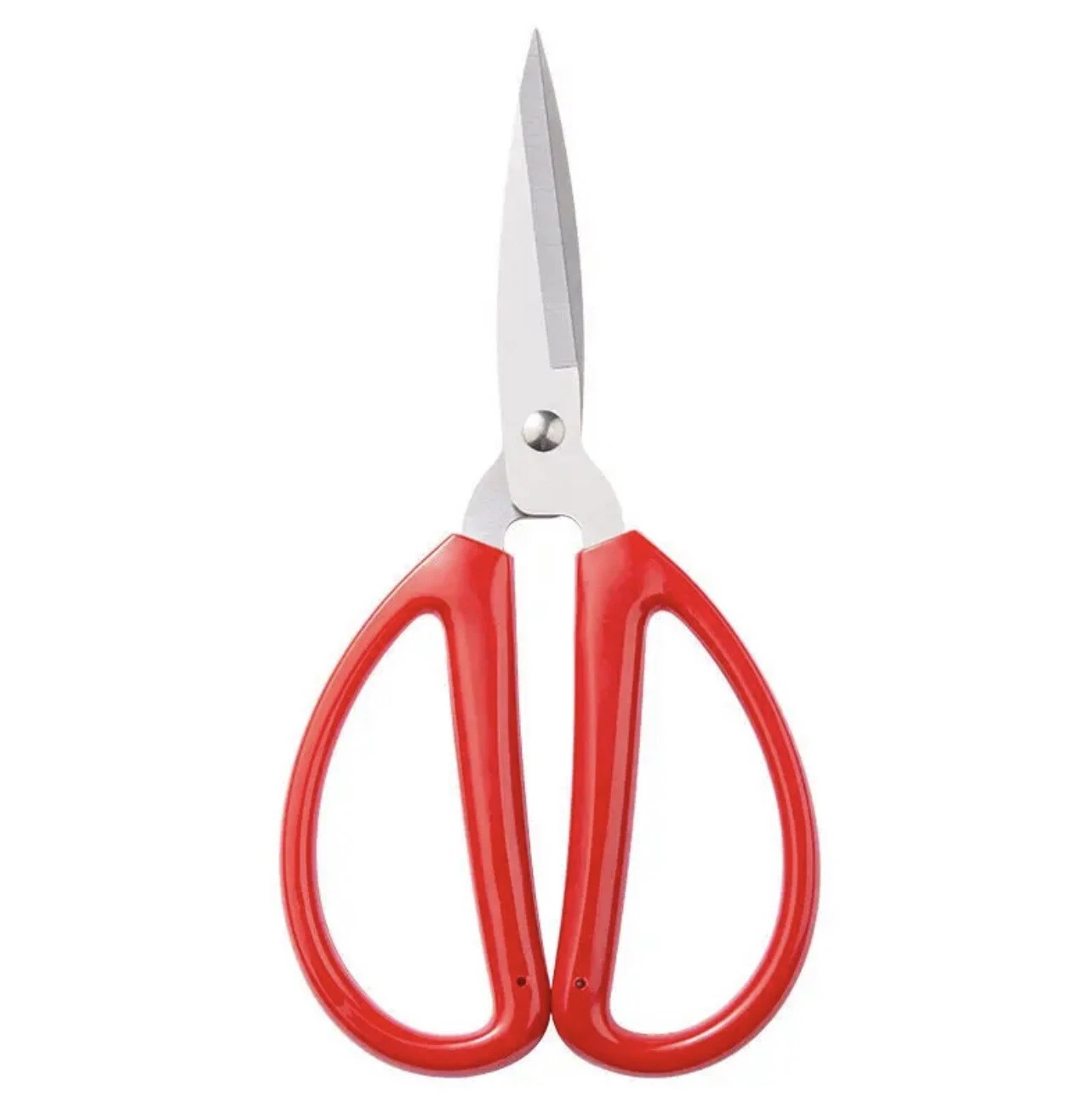 QUEST- Stainless Steel All Purpose Home Scissors-Office Scissors ...