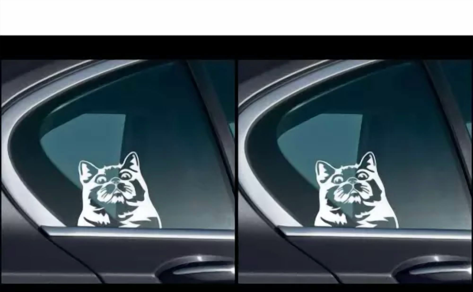 QUEST- Surprised Peeking Grumpy Cat White Vinyl Decal Car Window Laptop ...