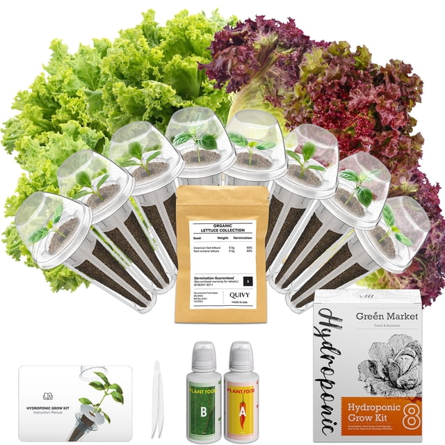 QUIVY Lettuce Seed Pod Kit for AeroGarden, Ahopegarden, iDOO Indoor ...