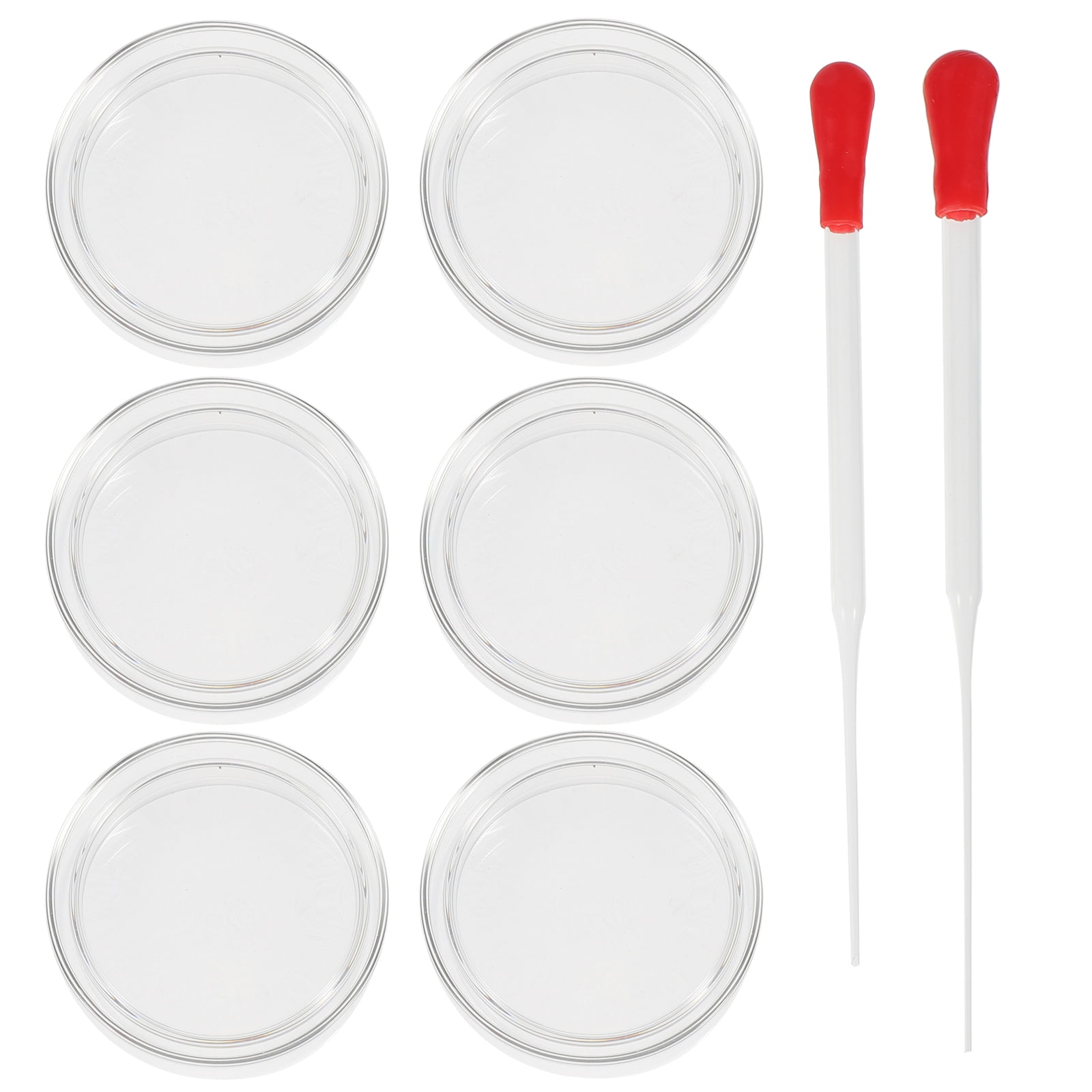 QUMONIN 6pc Glass Petri Dishes Set with Lids & Droppers for Lab ...