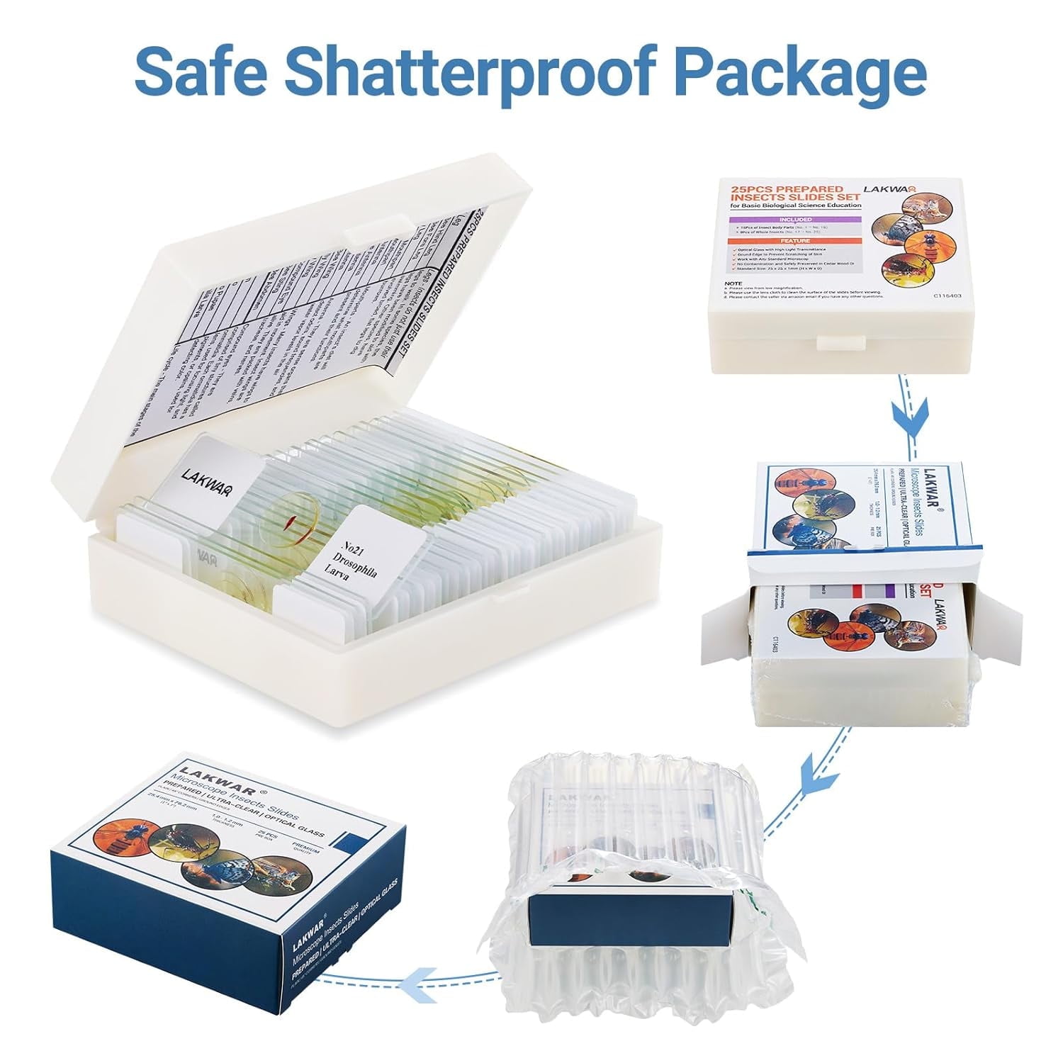 QUNSE 25 Insect Microscope Slides with Specimens for Kids Adults ...