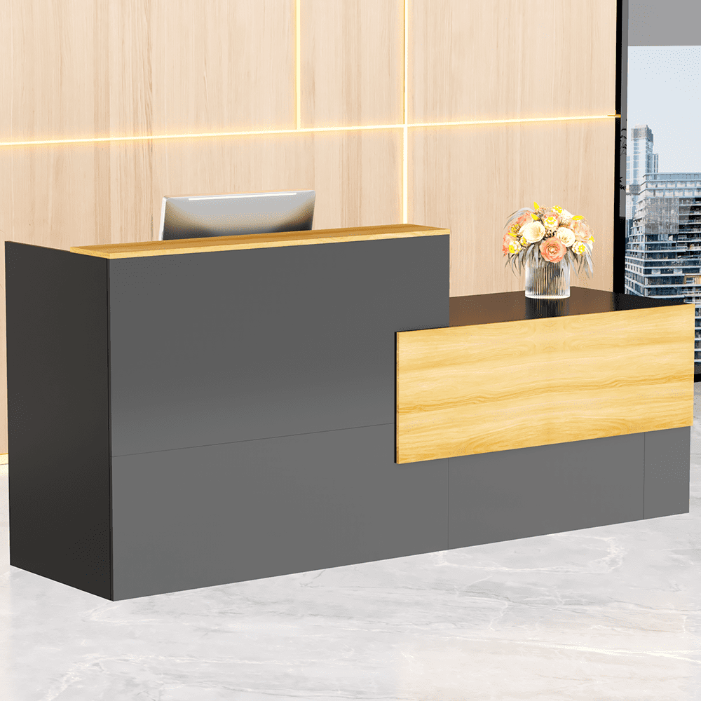 Front Desk Modern Reception Desk With Storage & File Cabinet - 63 Inch ...
