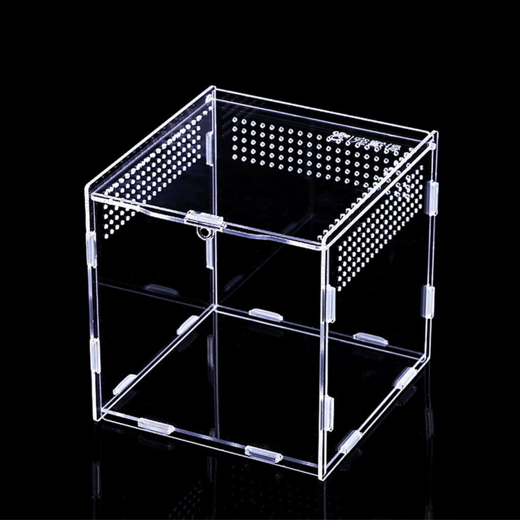 QUSENLON Insect Feeding Box Transparent Acrylic Container Terrarium for ...