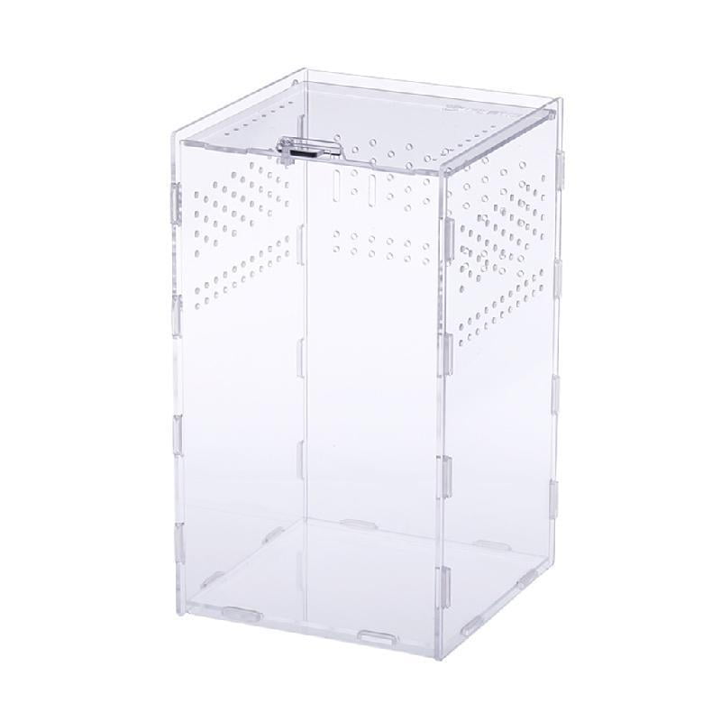 QUSENLON Insect Feeding Box Transparent Acrylic Container Terrarium for ...