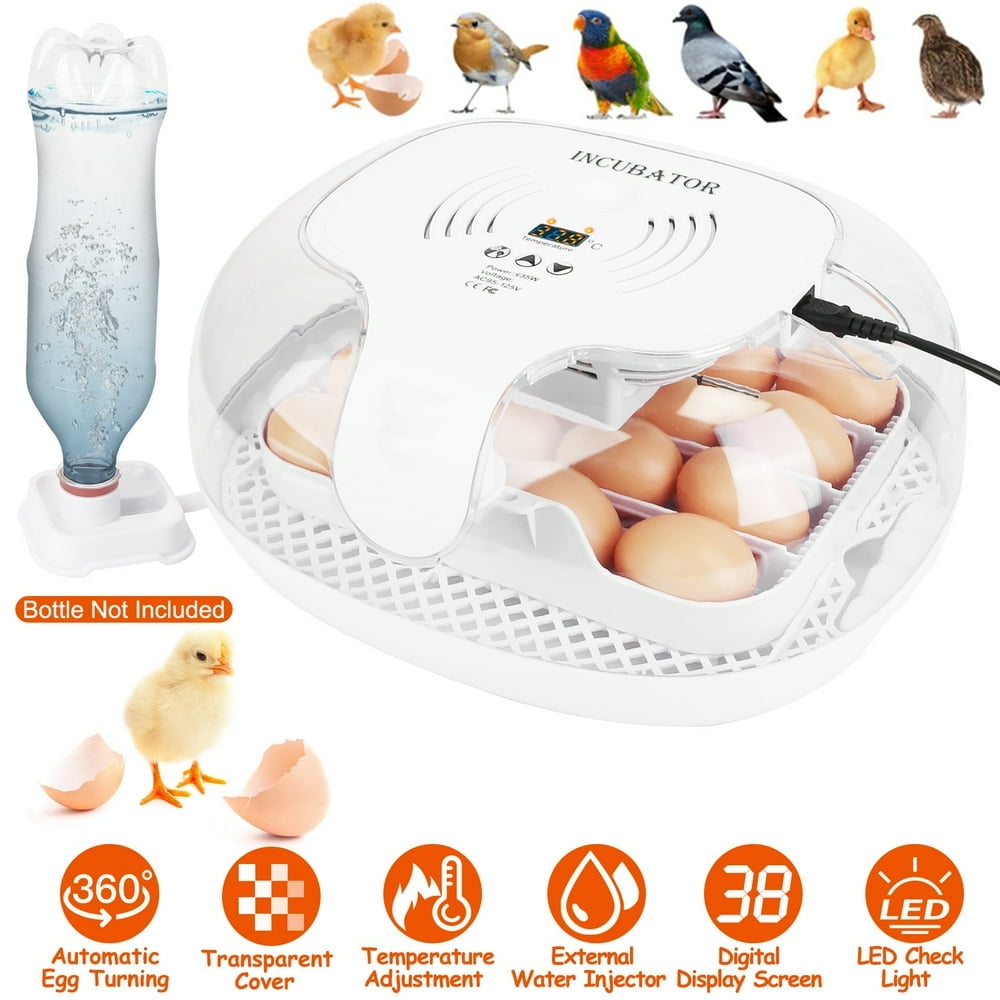 QUTETN 16 Eggs Incubator for Hatching Chicken Egg Incubator with Automatic Egg Turning and ...