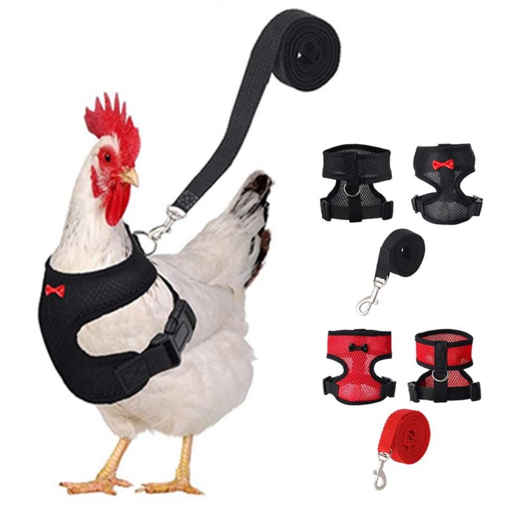 QUTETN Adjustable Chicken Harness Chicken Walking Harness With Leash ...