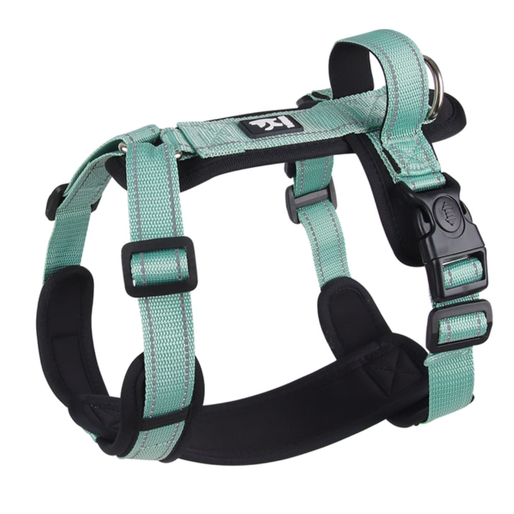 QUTETN Adjustable with Handle Dog Harness for Small Large Dogs French ...
