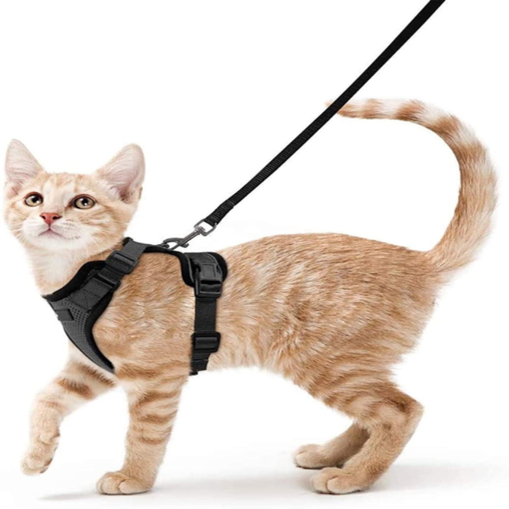 QUTETN YOKEE Soft Mesh Small Cat Harness and Leash Set Adjustable Vest ...