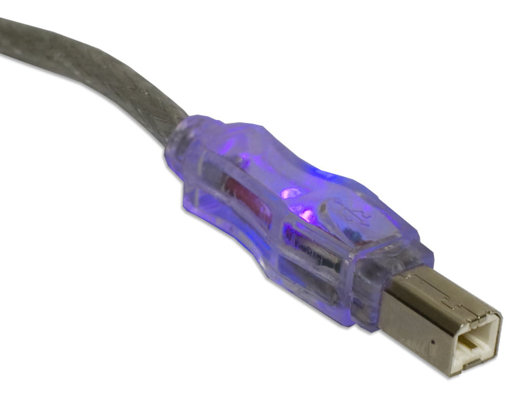 QVS 6ft USB 2.0 480Mbps Type A Male to B Male Translucent Illuminated ...