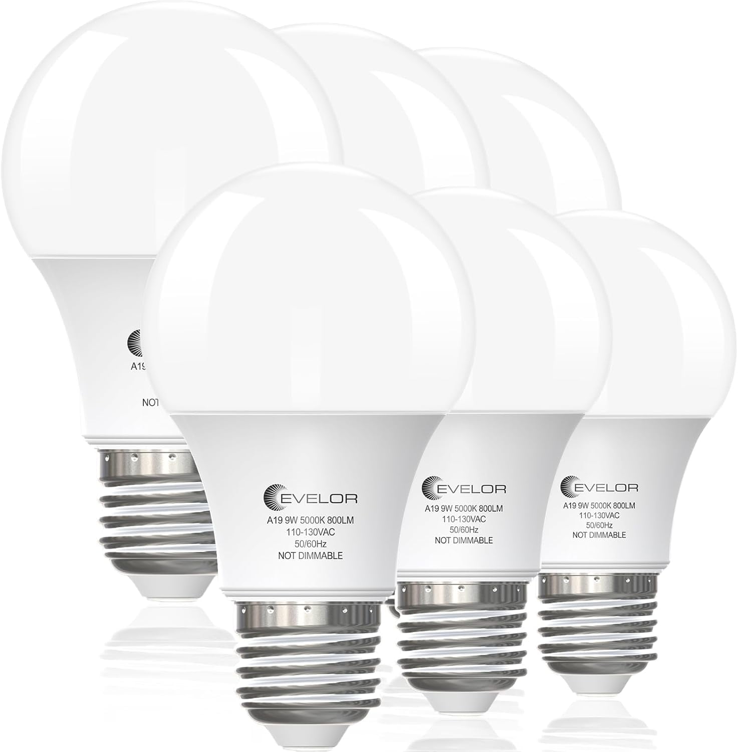 QYUN-A19 Led Light Bulbs,60 Watt Equivalent Daylight 5000K With E26 Base,Efficient 9W,800 Lumens ...