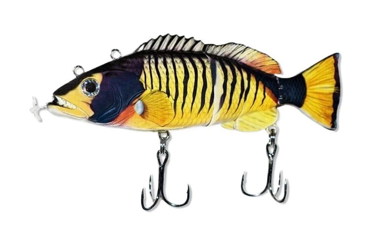 QZ Rechargeable multi-section fish green LED light-emitting simulation ...