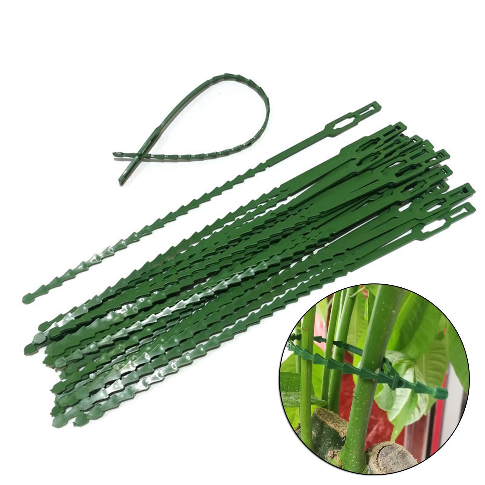 Qaailabf 100 Pack 13cm and 23cm Green Plastic Garden Binding Straps ...