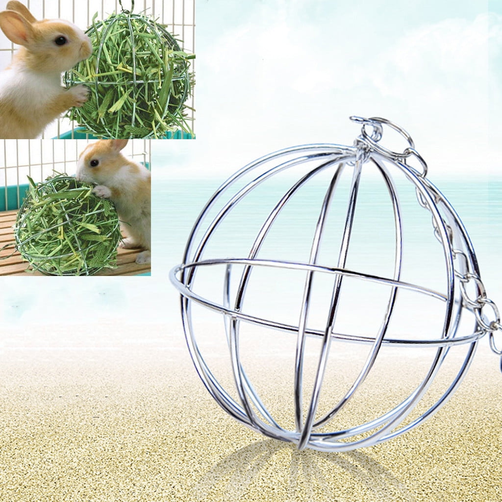 Qaailabf Hanging Sphere Feed Dispenser Toy for Small Pets, Stainless ...