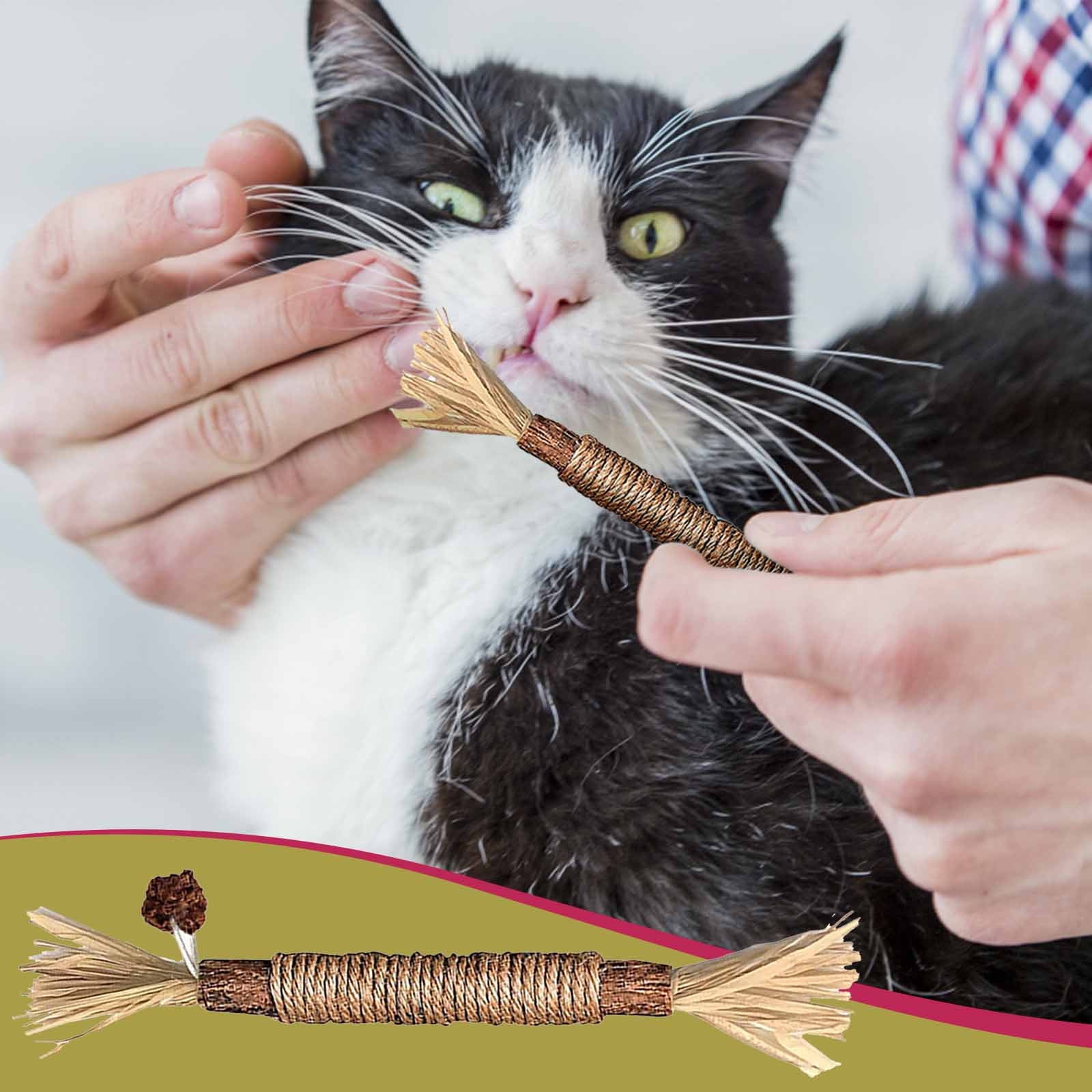 Qaailabf Natural Cat Chew Toy Stick - 23cm Long, Made with Rattan, Fig ...