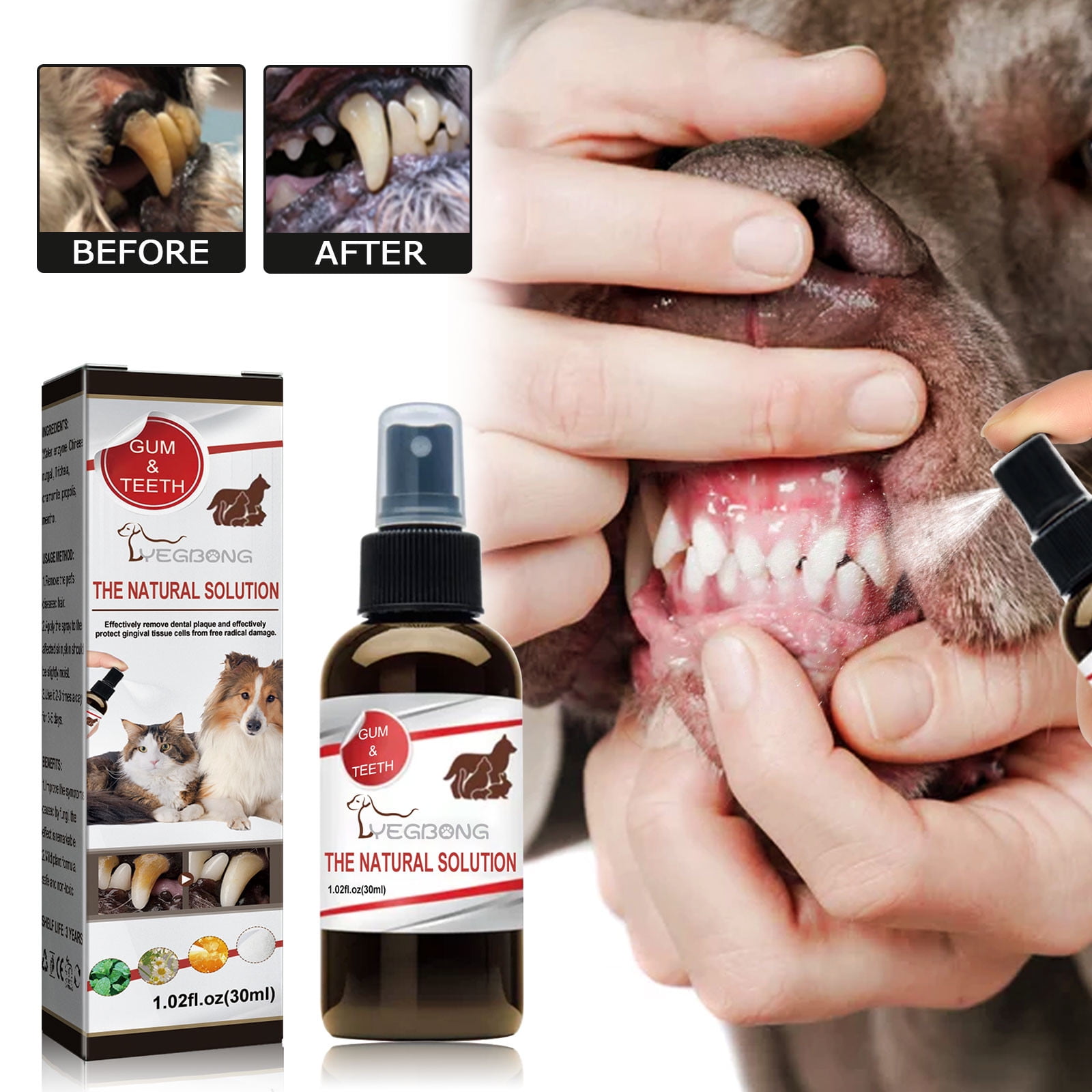 Qaailabf Pet Breath Freshener Spray for Dogs, 30ml, Oral Care for Bad ...